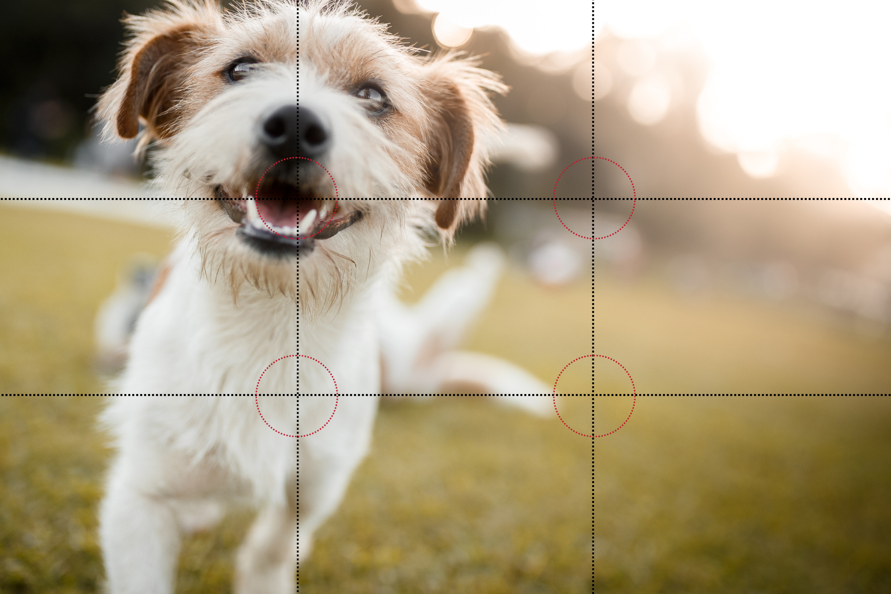 La Regla de Tercios: Una guía práctica - Fotografía