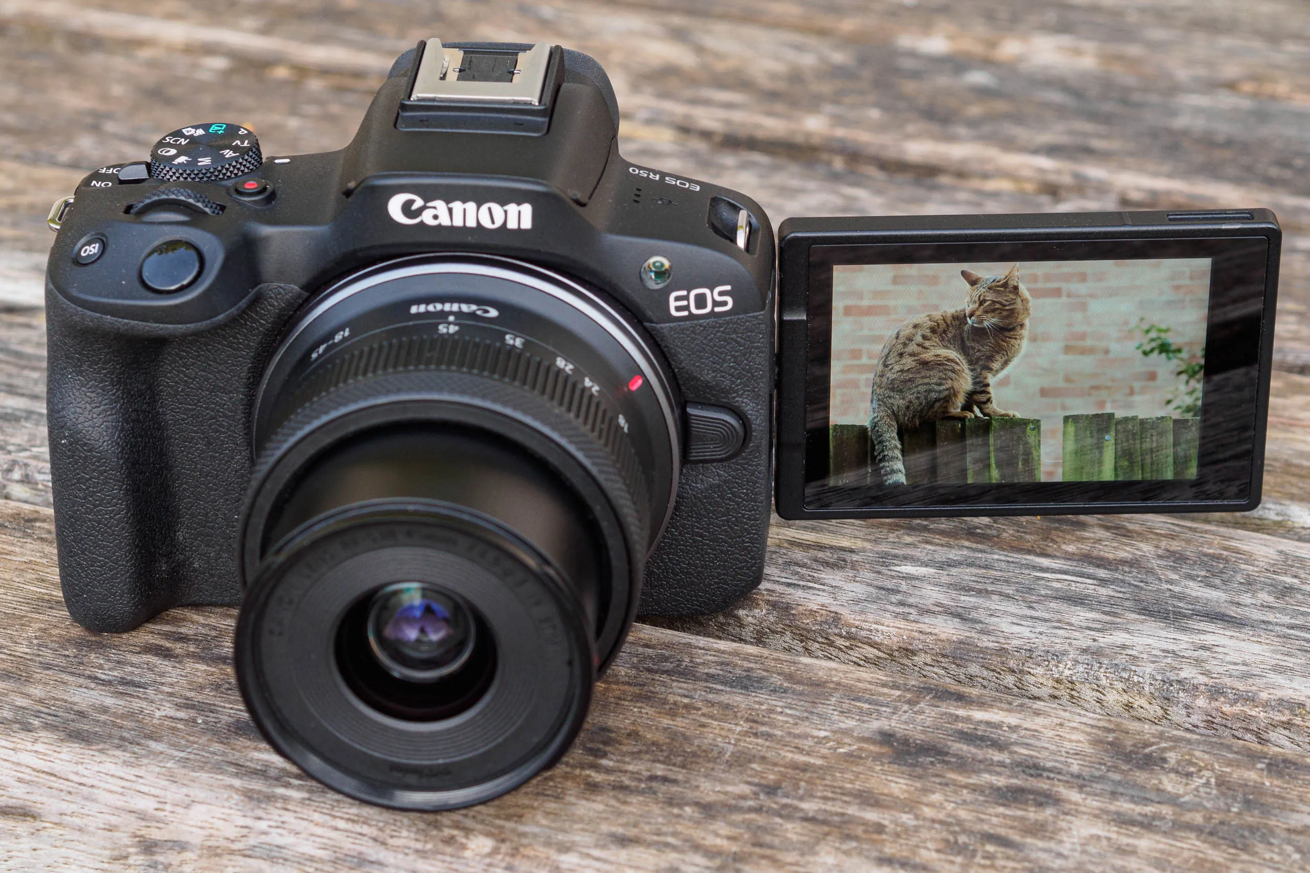 Canon EOS R50: Análisis Completo, Características y Opiniones Expertas ...